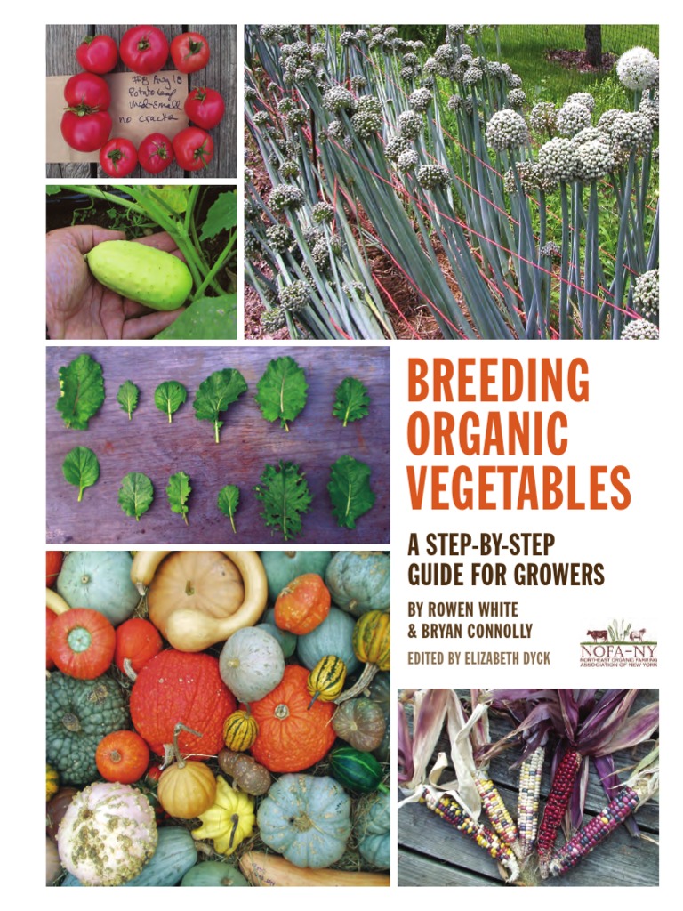 Breeding Organic Vegetables: A Step-By-Step Guide For Growers | PDF ...
