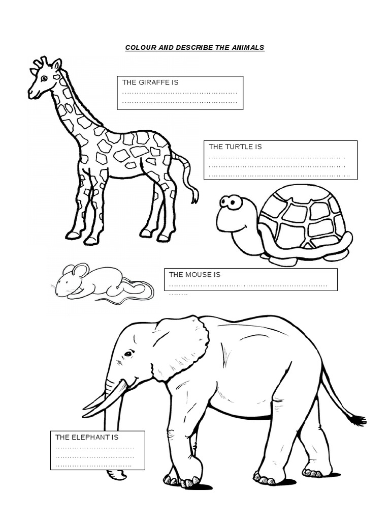 Animal Coloring and Description | PDF
