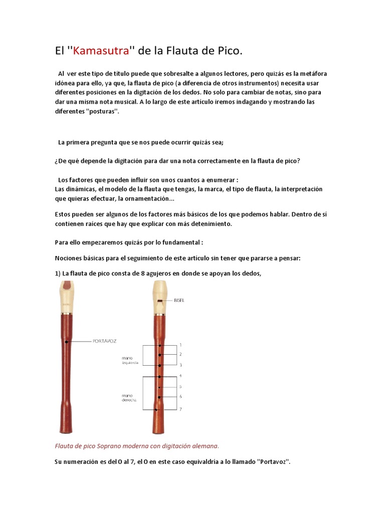 La Flauta de Pico | PDF | Flauta | Grabadora (instrumento musical)