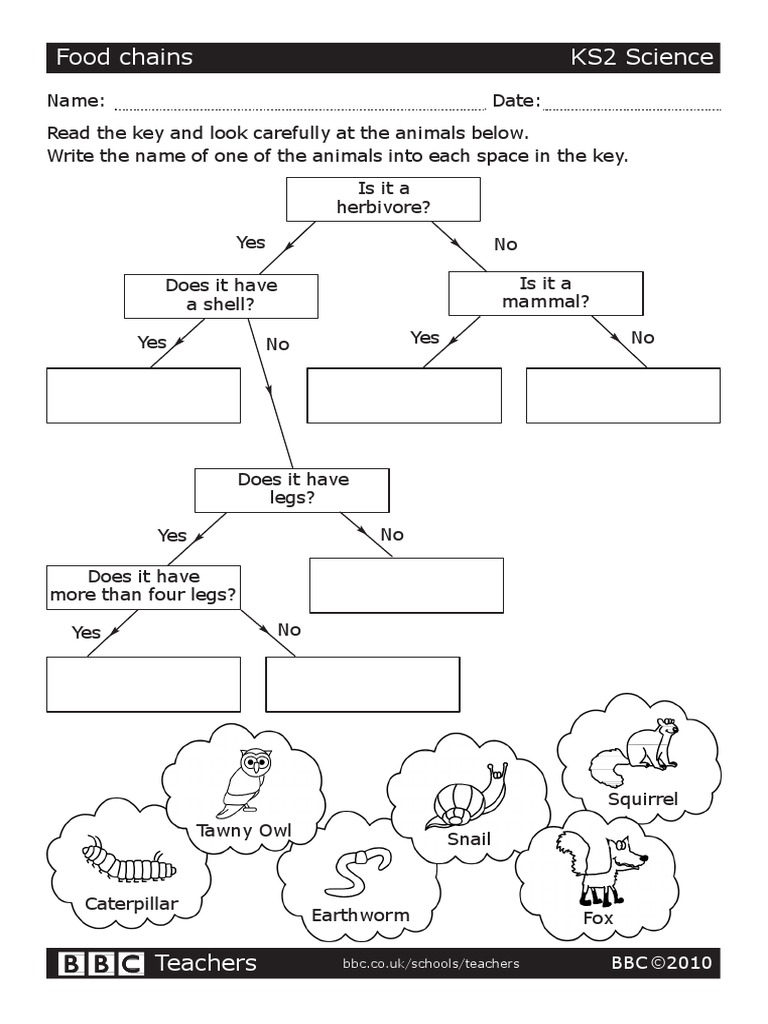 BBC Teachers Ks2 Science Worksheet Food Chains | PDF | Language Arts ...