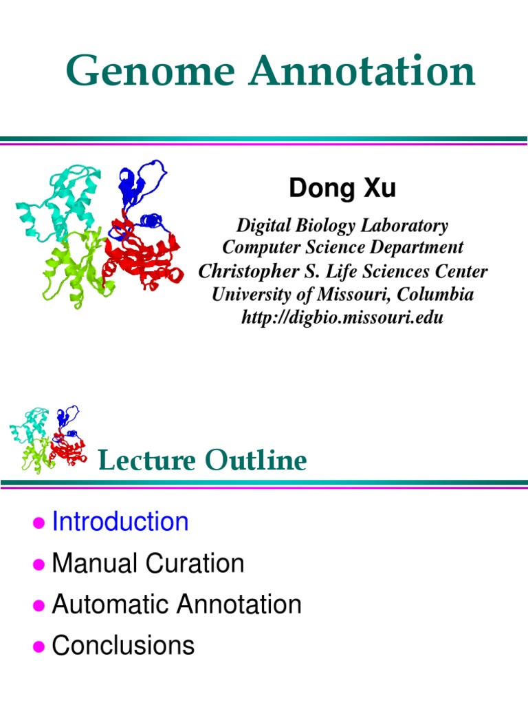Genome Annotation | Gene | Rna