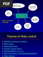 Comprehensive Coordination Scale FINAL | PDF | Anatomical Terms Of ...