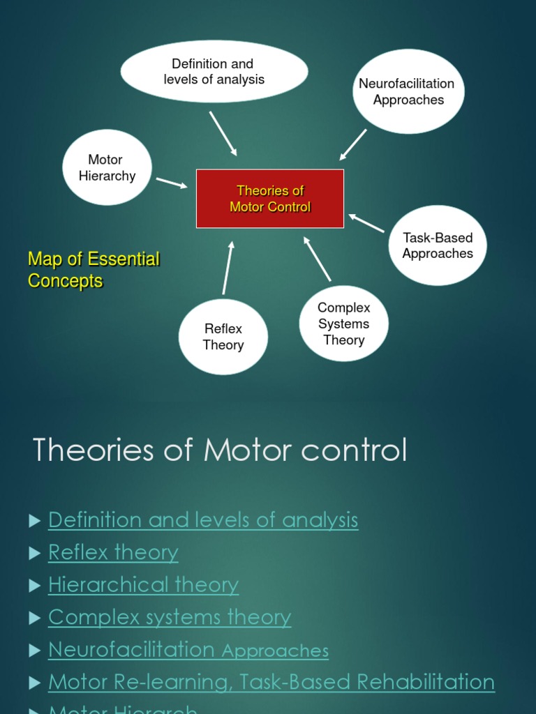 Motor Control List | PDF | Motor Control | Central Nervous System