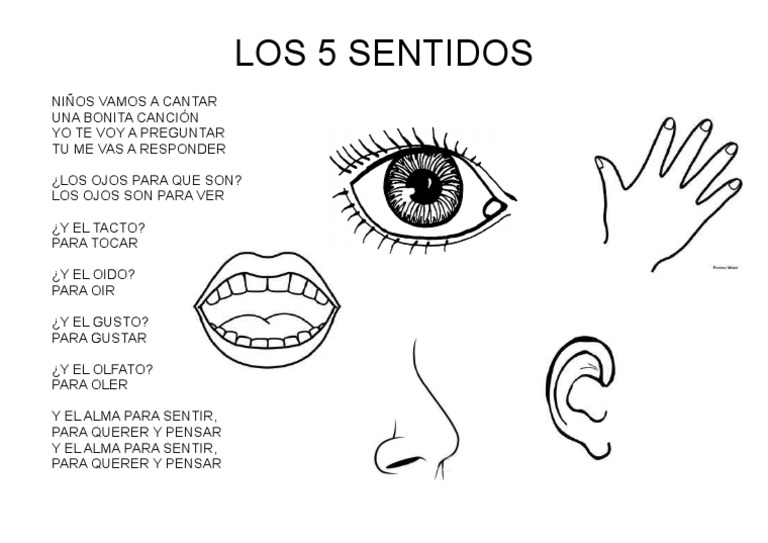 CINCO SENTIDOS CANCION - Odt | PDF | Música grabada