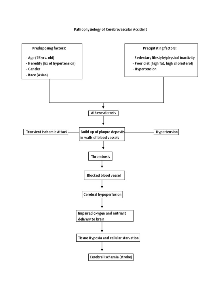 Pathophysiology of Cerebrovascular Accident | PDF
