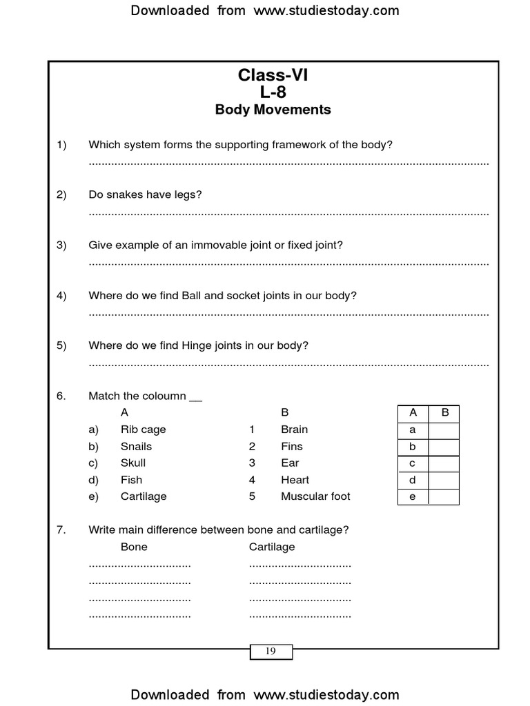Movements Of The Body Worksheet