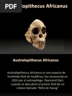 Dryopithecus | PDF | Hominidae | Homo Sapiens
