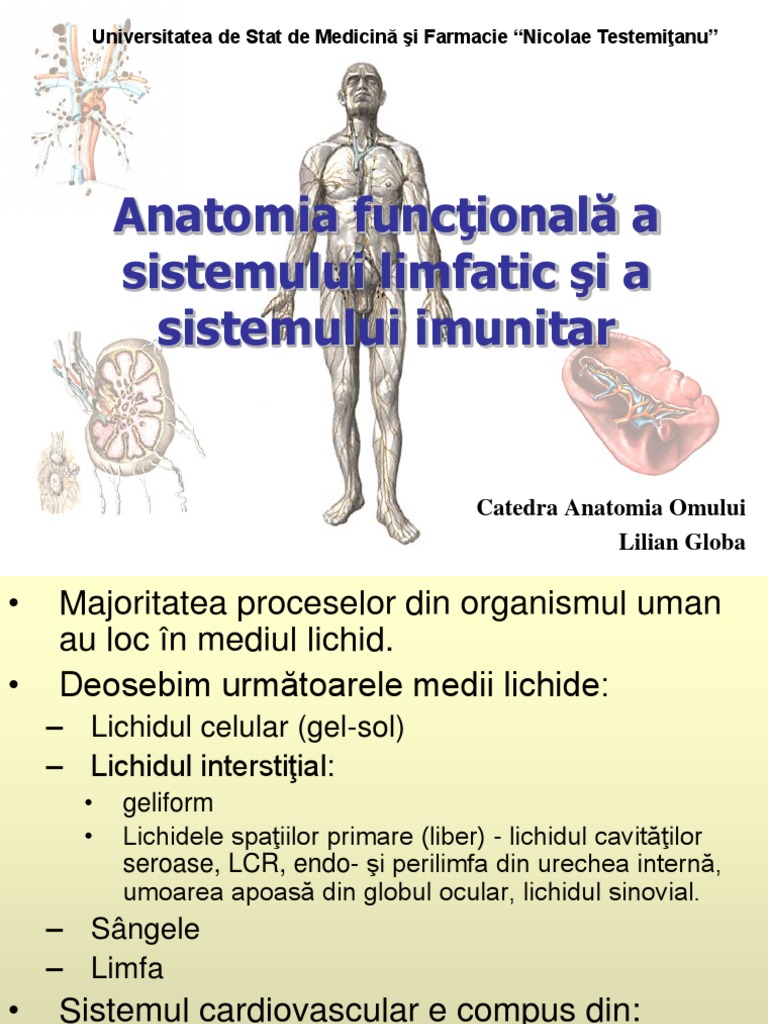 Anatomia Sistemului Limfatic | PDF