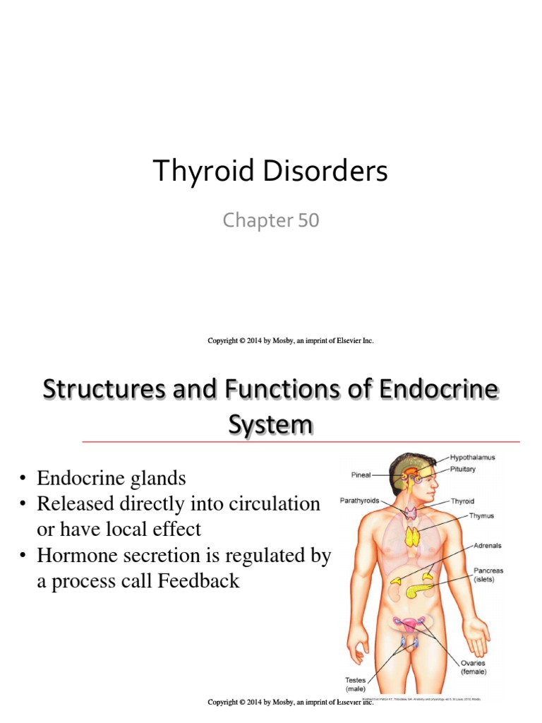Thyroid Case Study | PDF | Hyperthyroidism | Thyroid