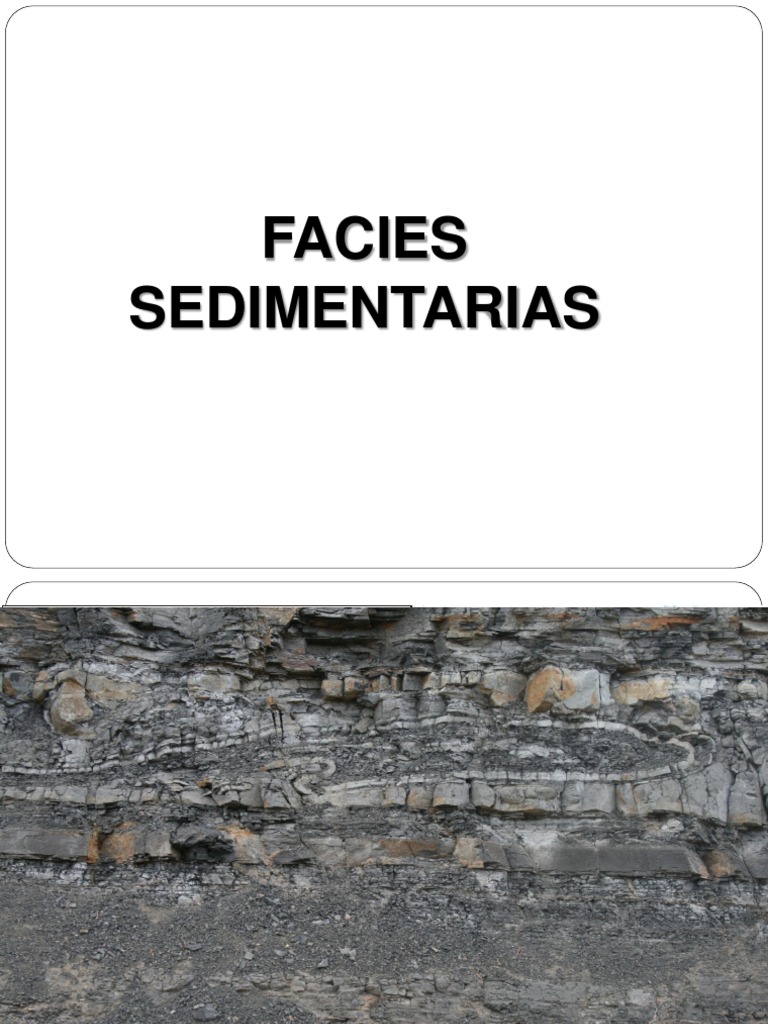 facies sedimentarias (1).ppt | Roca sedimentaria | Estrato