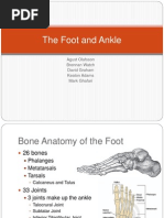 EHL Tendon Repair Rehab Protocol | PDF