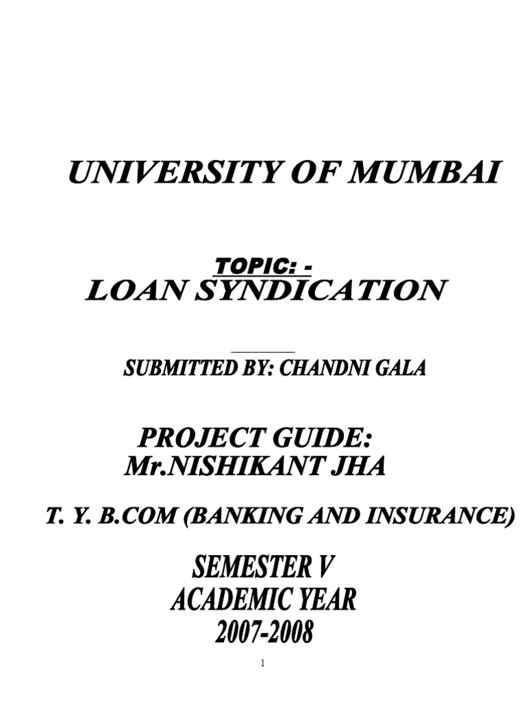 Understanding Loan Syndication Basics | PDF | Syndicated Loan | Loans