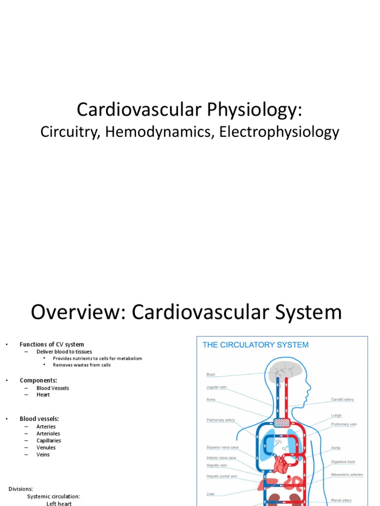Cardiovascular Physiology:: Circuitry, Hemodynamics, Electrophysiology | PDF | Heart Valve ...