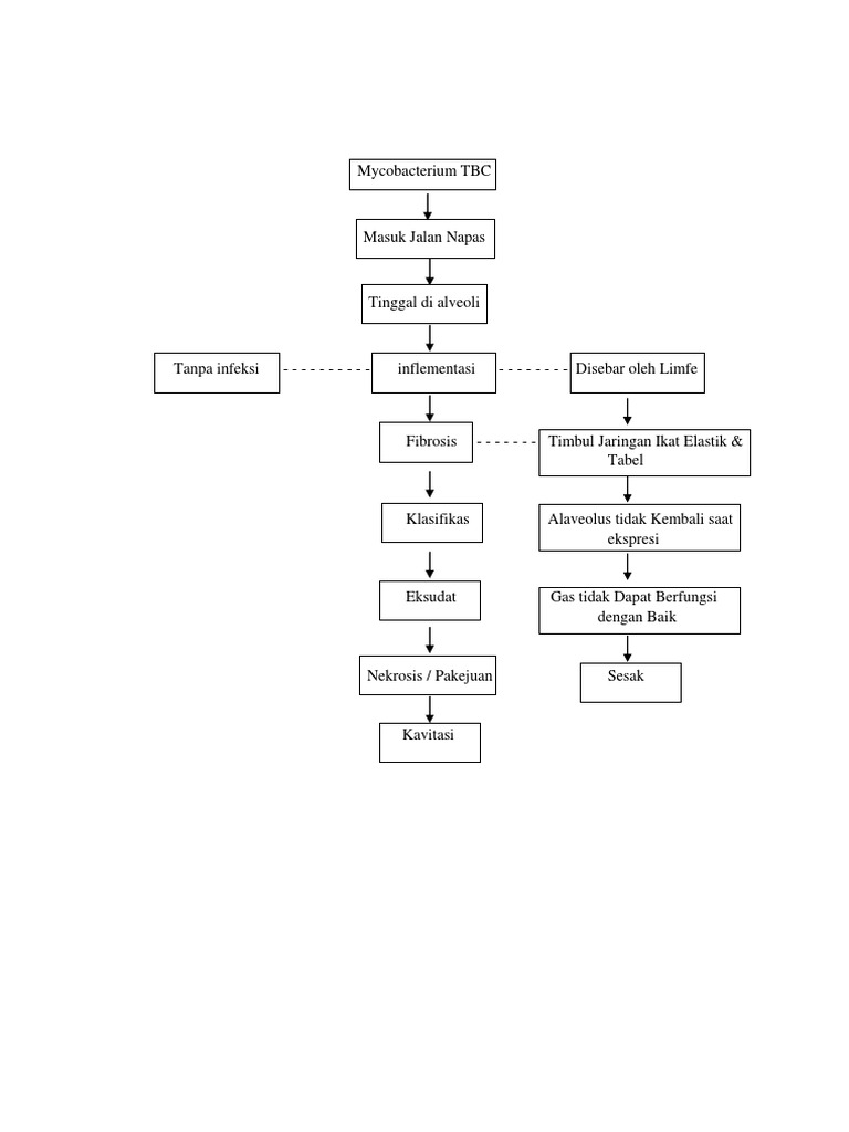 Patoflow TB Paru | PDF
