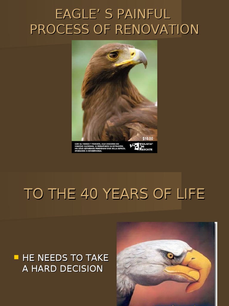 Eagle's Painful Renovation Process | PDF