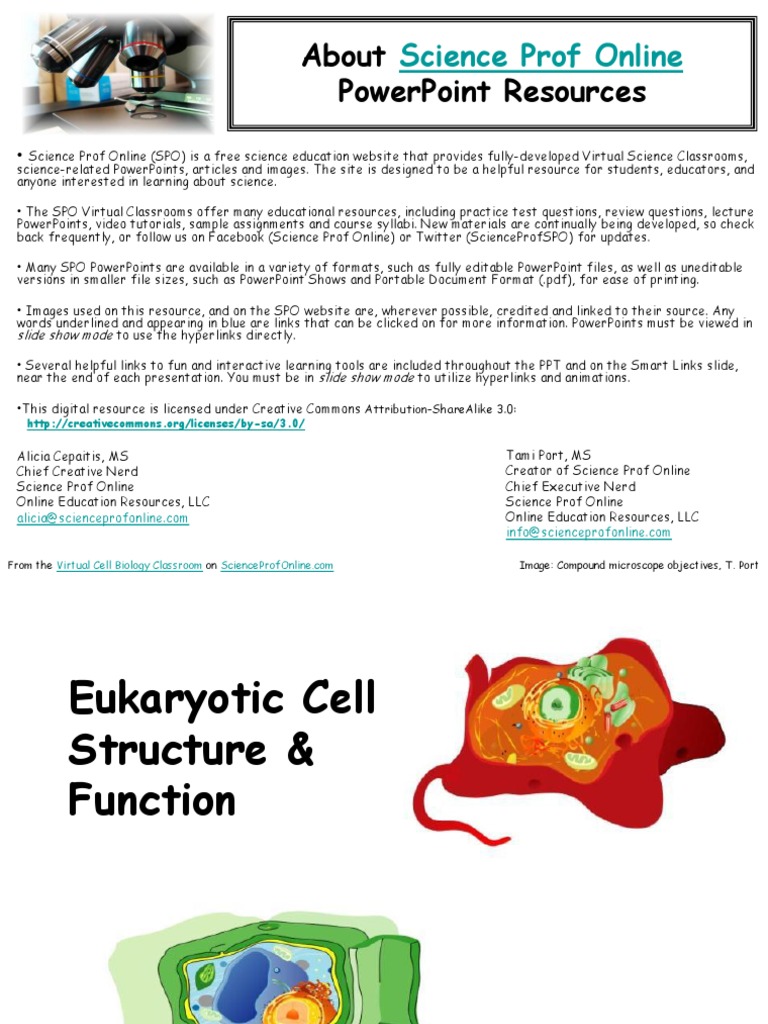 Eukaryotic Cell Structure Function Lecture PowerPoint VCBC | PDF ...