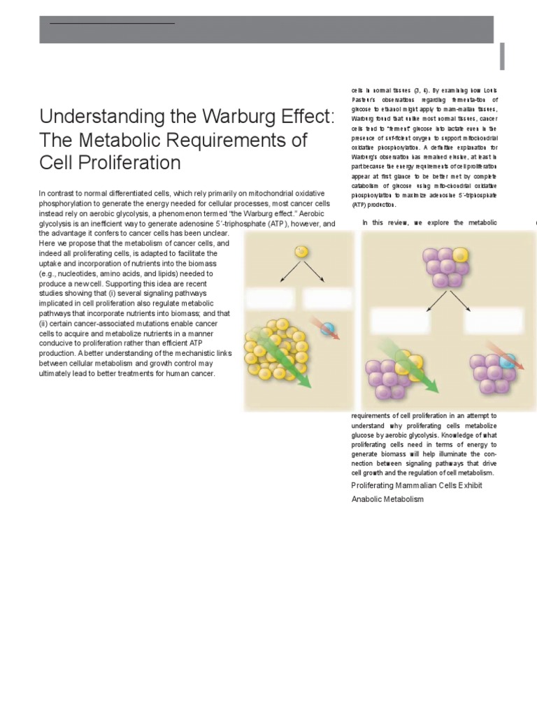 Understanding The Warburg Effect: The Metabolic Requirements of Cell ...