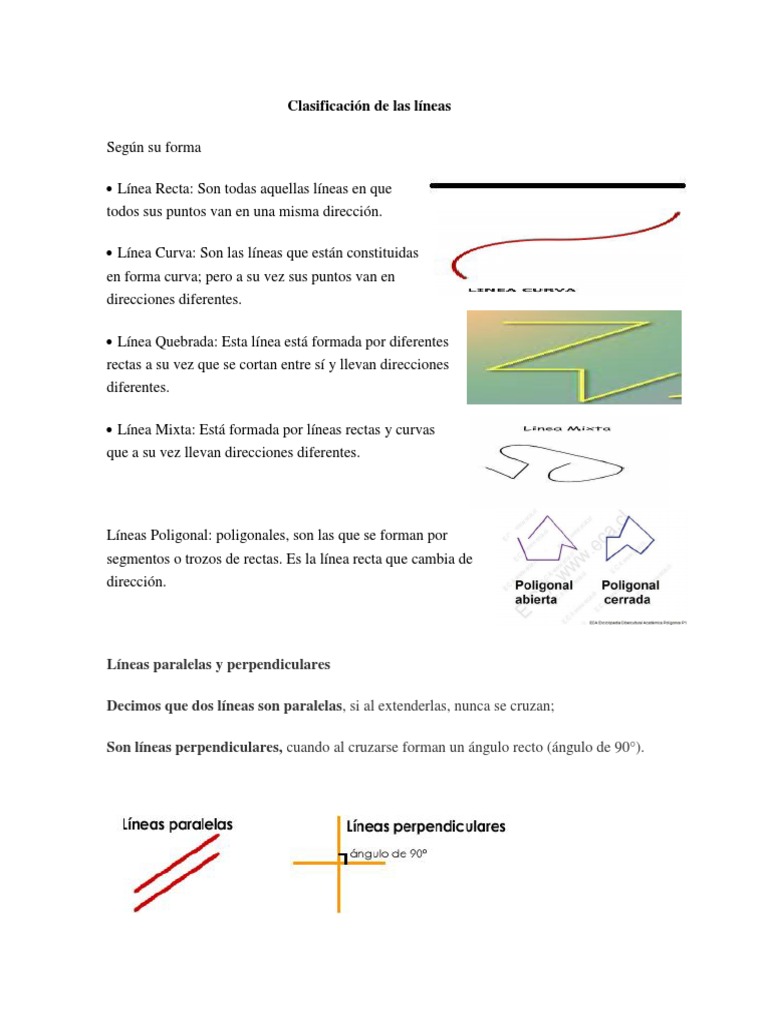 10 Tipos de Líneas | PDF | Perpendicular | Curva