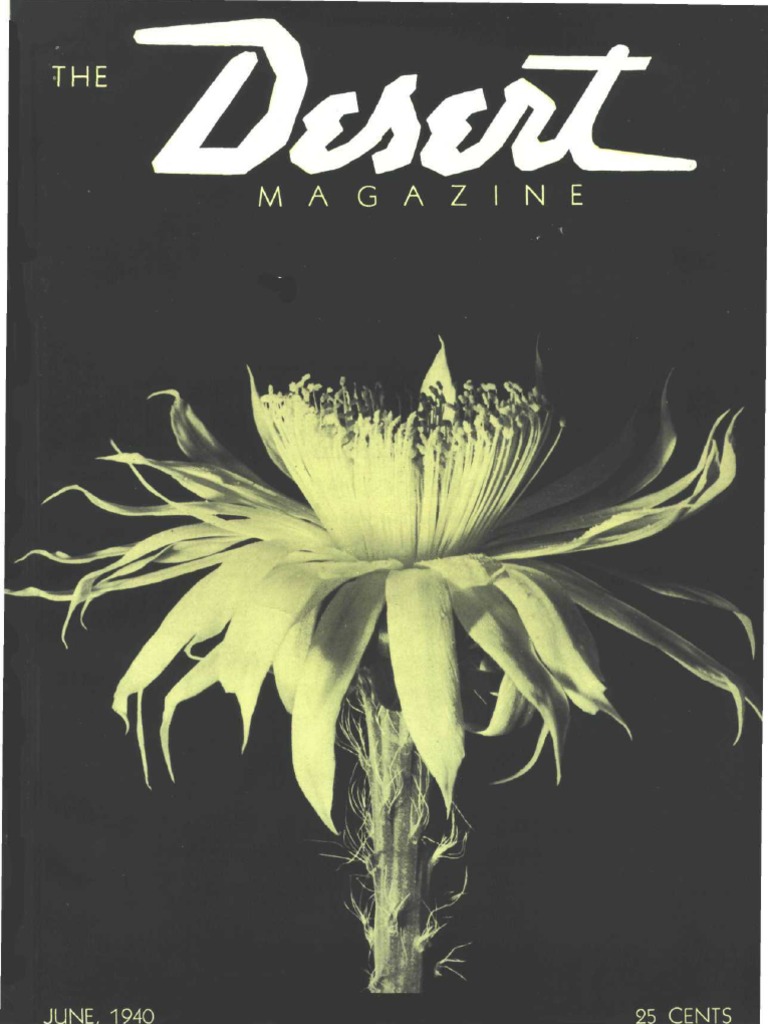 Desert Magazine 1940 June | PDF | Arizona | New Mexico