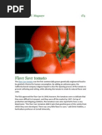Flavr Savr Tomato: Genetic Engineering Insights | PDF | Tomato ...