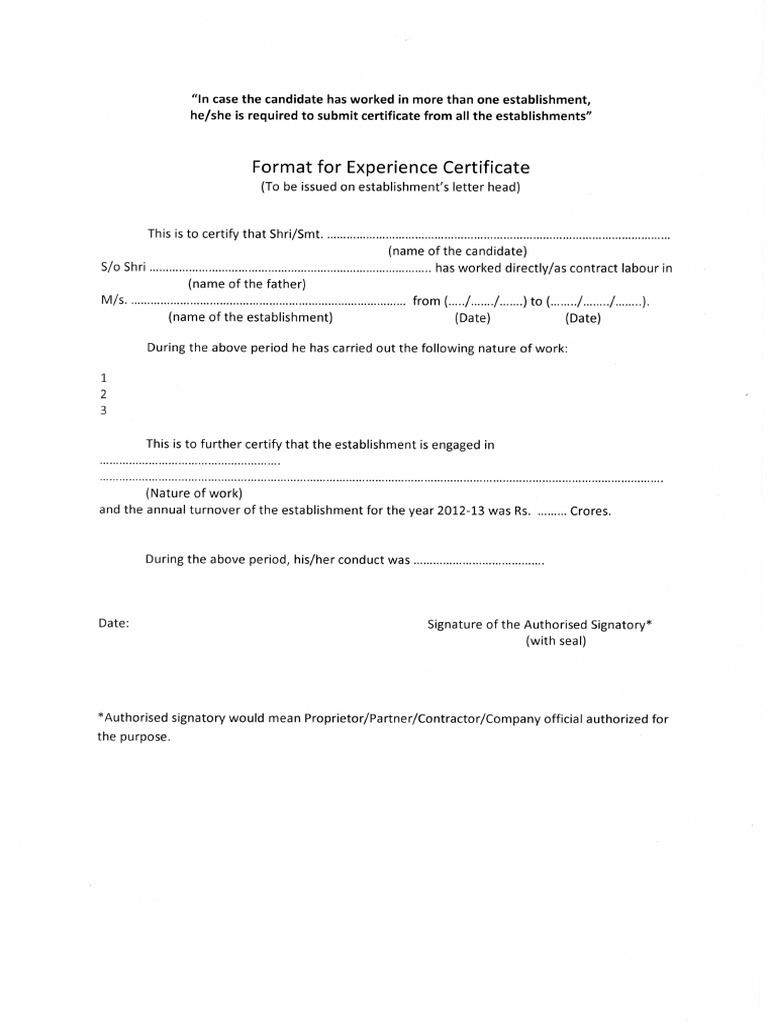 Experience Certificate Format Guide | PDF | Business | Finance & Money ...
