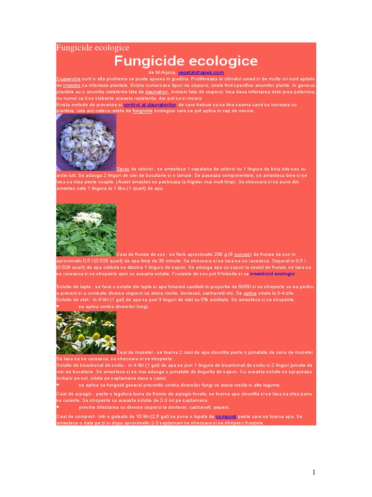 Fungicide Ecologice | PDF