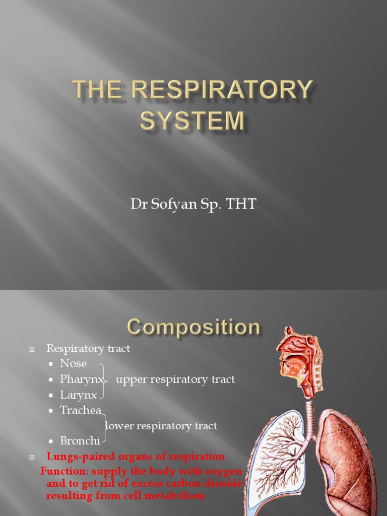 Kuliah Respi 2011 | PDF | Respiratory System | Human Head And Neck