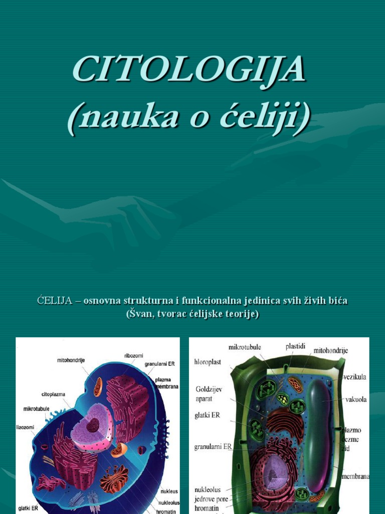 Citologija 2 | PDF