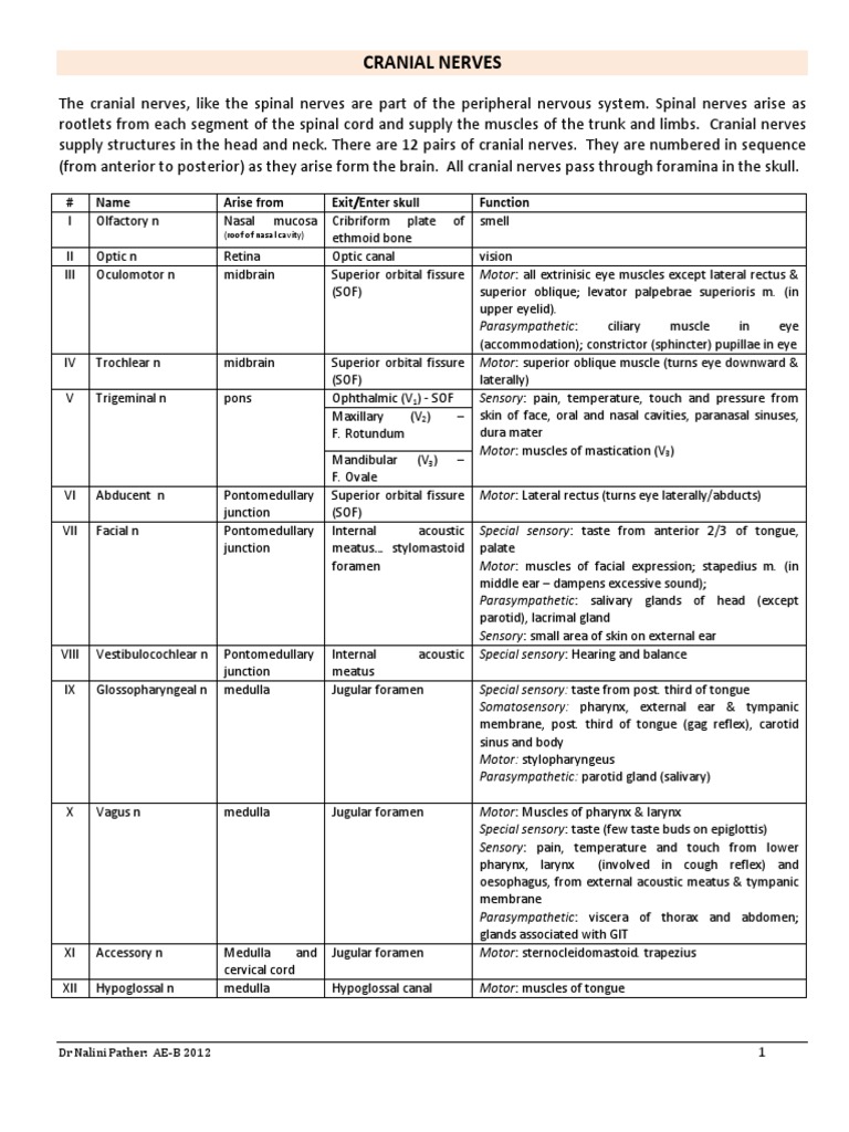 Cranial Nerves: # Name Arise From Exit/Enter Skull Function | PDF ...