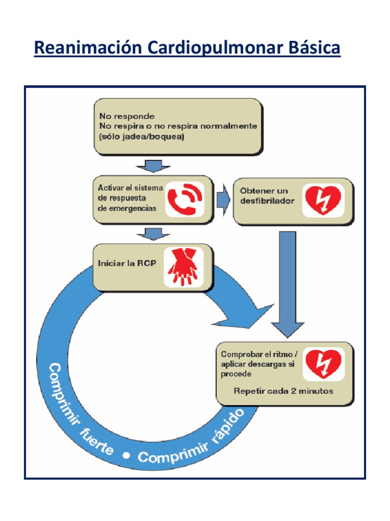 RCP AHA 2010 Algoritmos | Resucitación cardiopulmonar | Cardiología