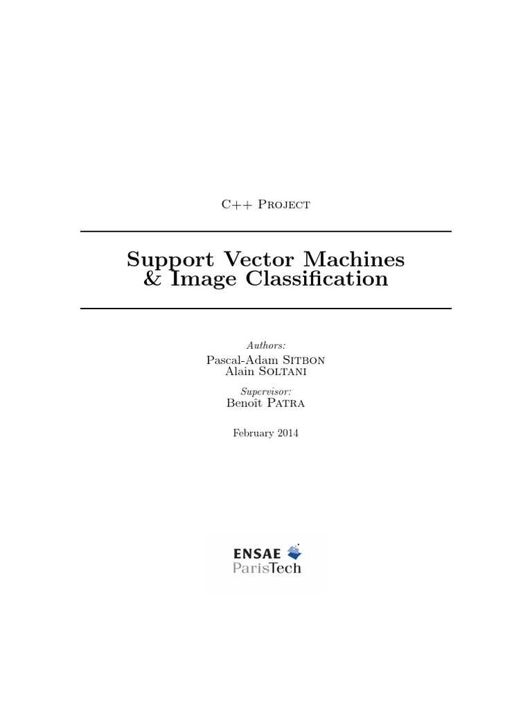 SVM & Image Classification. | PDF | Support Vector Machine | Parameter ...