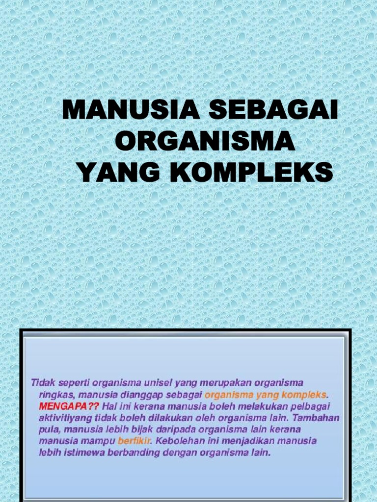 Organ Dalam Badan Manusia | PDF