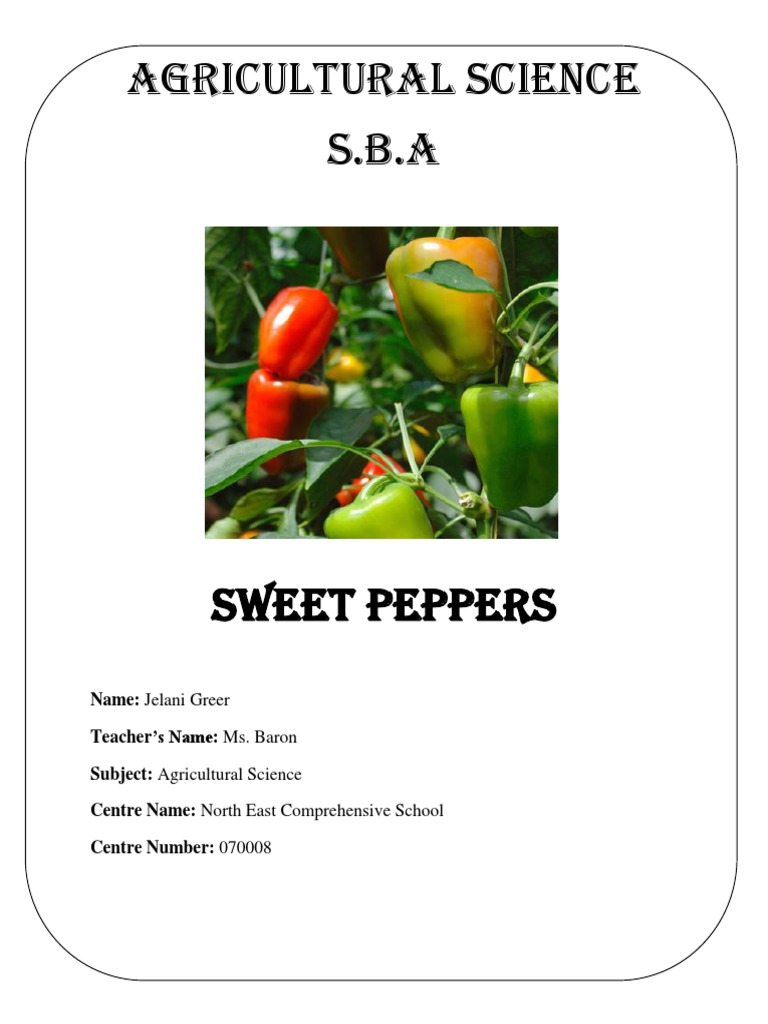 Agri Sba | PDF | Capsicum | Weed