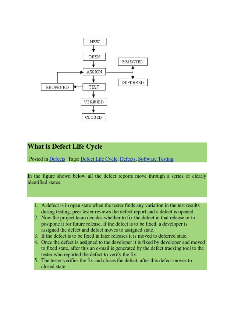 Defect Life Cycle - TARAKESH | PDF | Software Bug | Software Testing