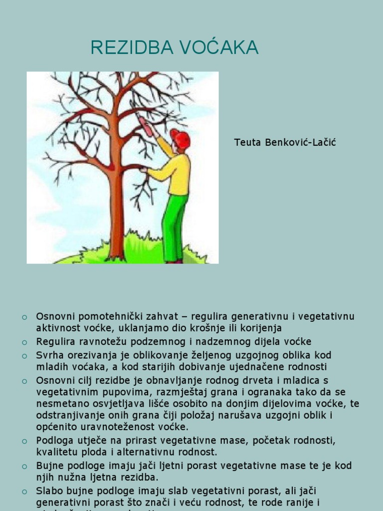 Rezidba Vocaka | PDF