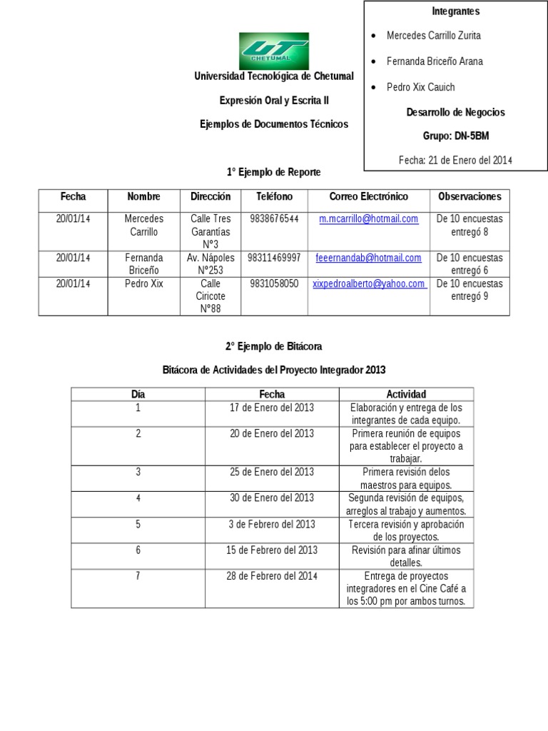 Ejemplos de Documentos Tecnicos | PDF