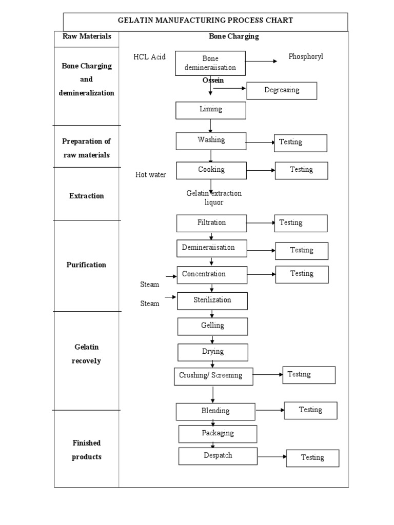 Gelatin Manufacturing Process Chart