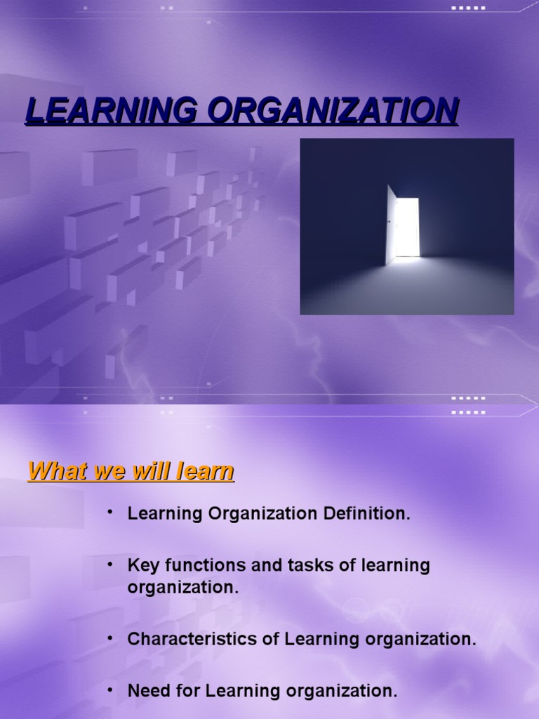 Characteristics of Learning Organizations | PDF | System | Learning