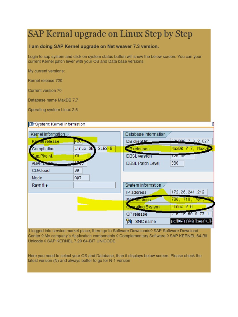 SAP Kernel Upgrade Steps | PDF | Kernel (Operating System) | 64 Bit Computing