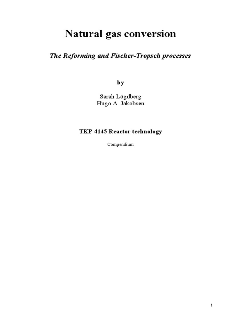 Natural Gas Conversion | PDF | Methane | Combustion