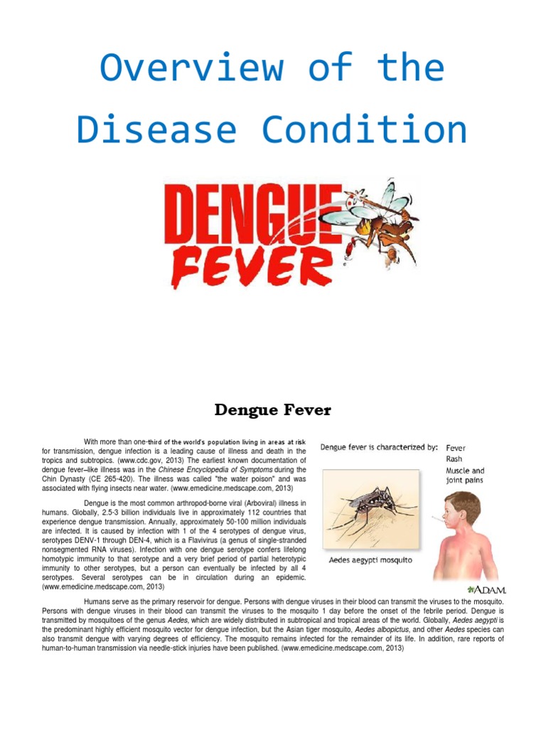 Dengue, Overview of The Disease | PDF | Microbiology | Veterinary Medicine