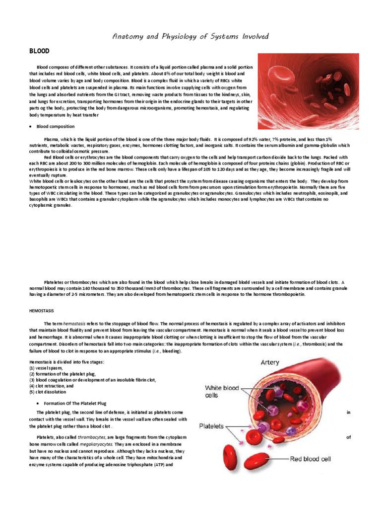Anatomy and Physiology of Blood and Cardiovascular System | PDF ...