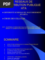 Cellule HTa | PDF