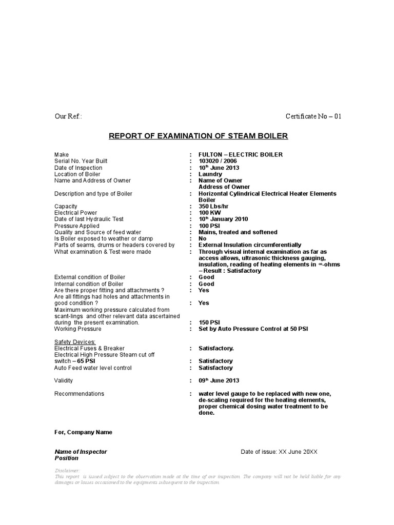 Steam Boiler Inspection Report | PDF