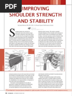 Alfredson Protocol - Achille's Tendonitis | PDF | Pain | Clinical Medicine