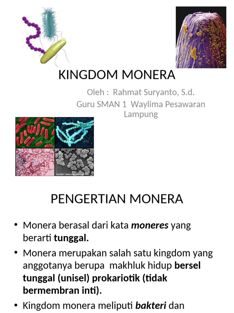 Kingdom Monera | PDF | Griya & Taman