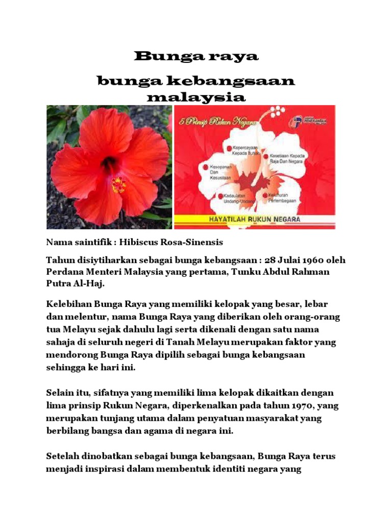 Bunga Raya Bunga Kebangsaan