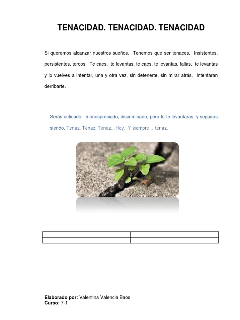 Significado y valor de la tenacidad | PDF
