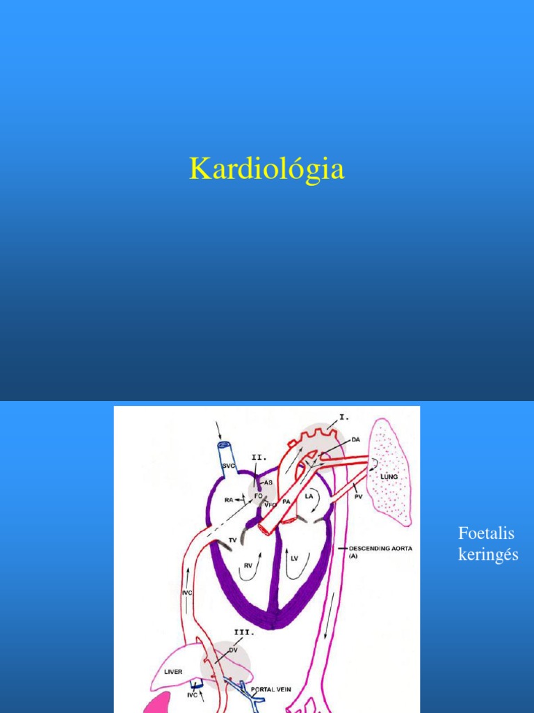 Kardiol Ogia | PDF
