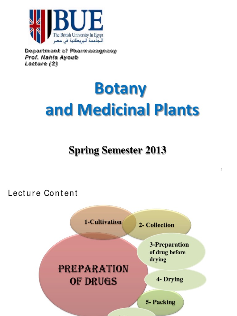 Botany Lecture 2 | PDF | Freeze Drying | Vanilla